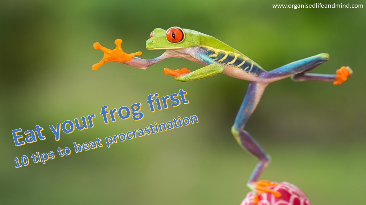 Eat your frog first – 10 tips to beat procrastination - Organised Life ...
