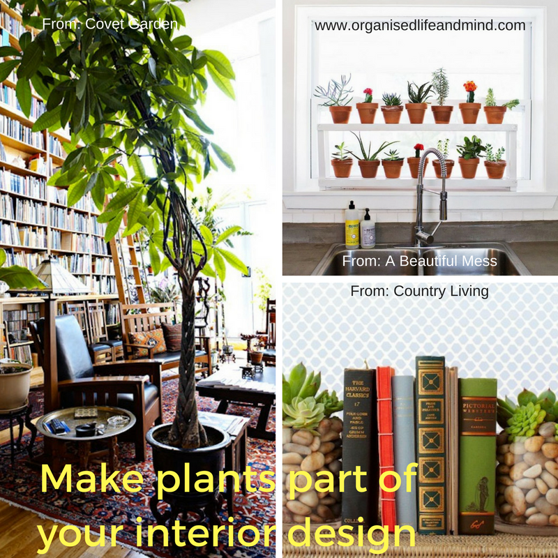 Make plants part of your interior design - Organised Life and Mind